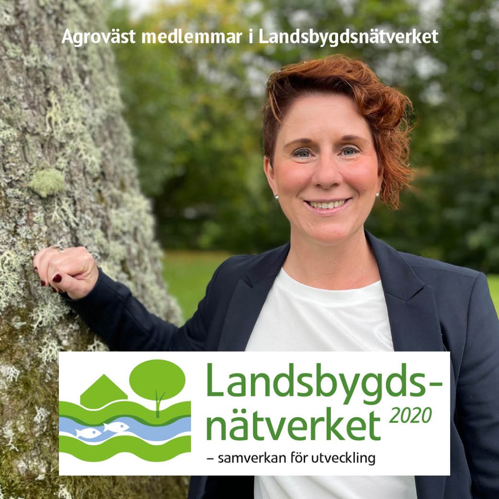 Vi ser Landsbygdsnätverket som en central plattform för samverkan och ...